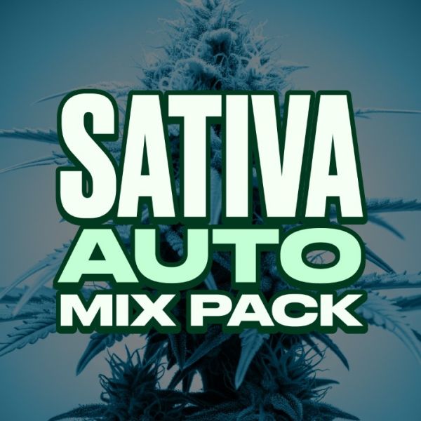 Sativa Autoflower Mix Pack | Homegrown Cannabis Co.