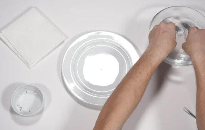 Cannabis Seed Germination Guide | Homegrown Cannabis Co.