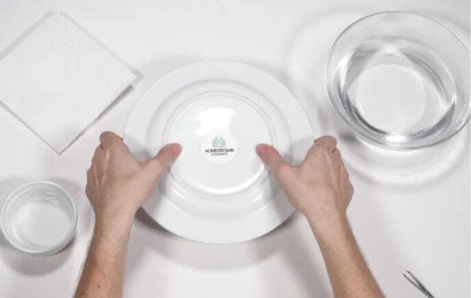 Cannabis Seed Germination Guide | Homegrown Cannabis Co.