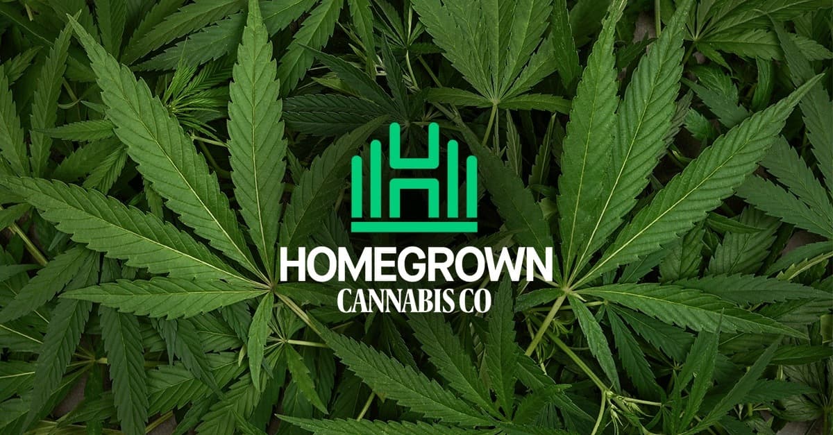 Buy Cheap Cannabis Seeds Online | Homegrown Cannabis Co